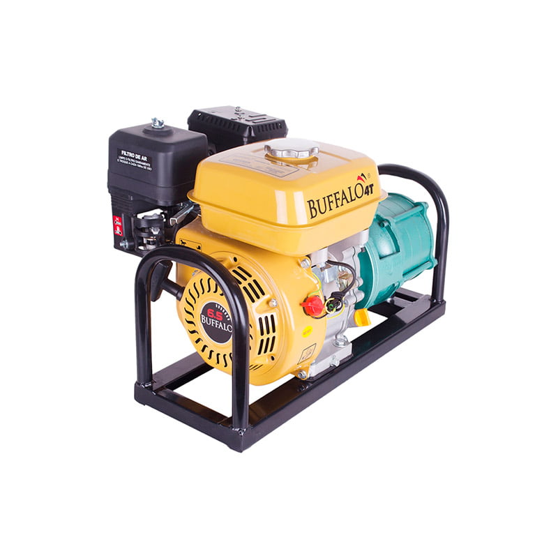 Bombas com Motor à Combustão – Bombas em Curitiba | Massuda Bombas ...